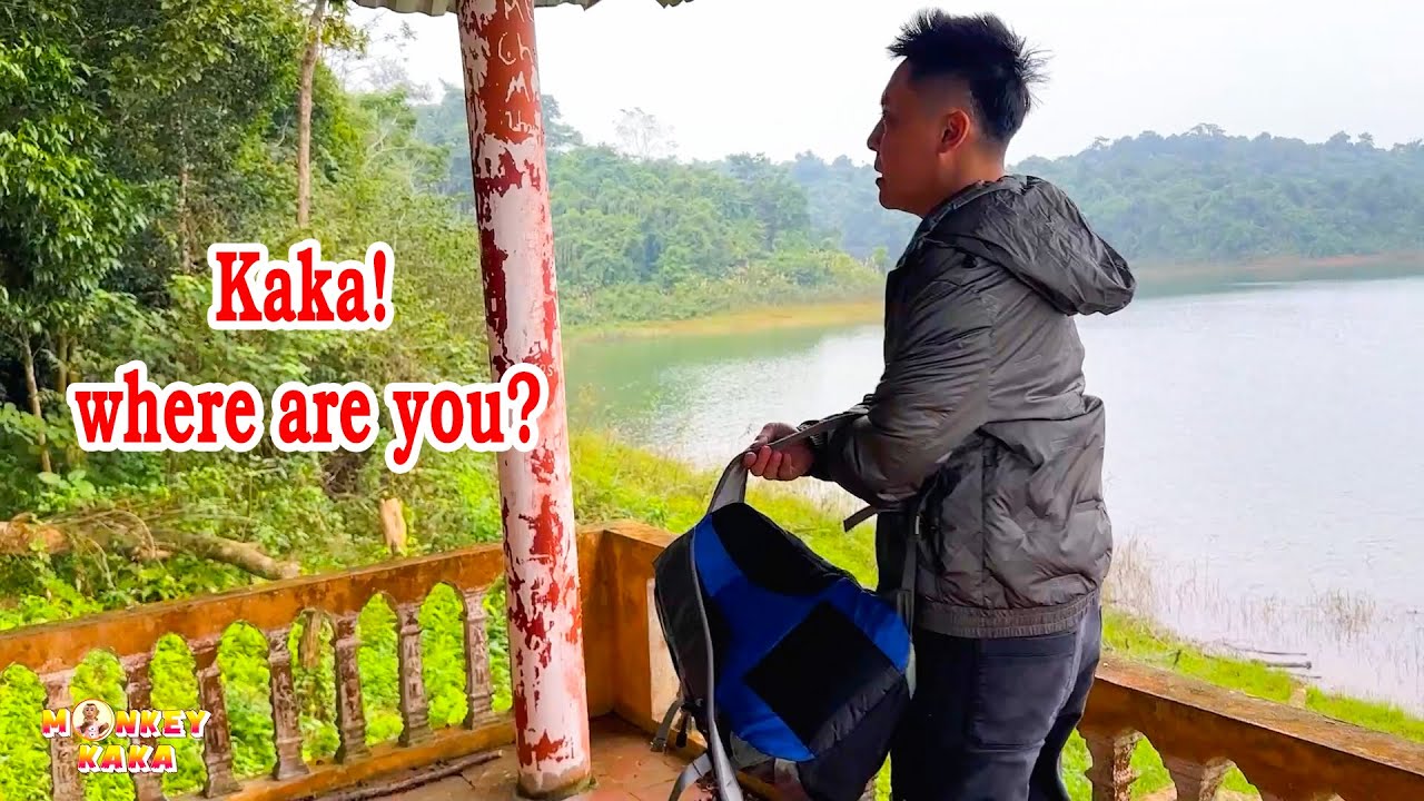 Where is the Monkey Kaka? Is the Kaka Monkey being forgotten ...