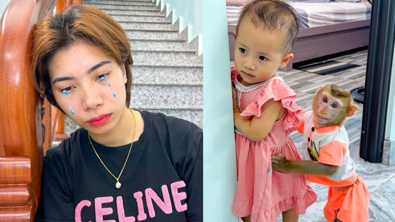 Monkey Kaka! Why is mom sitting on the stairs sad? – Fastnews24.info