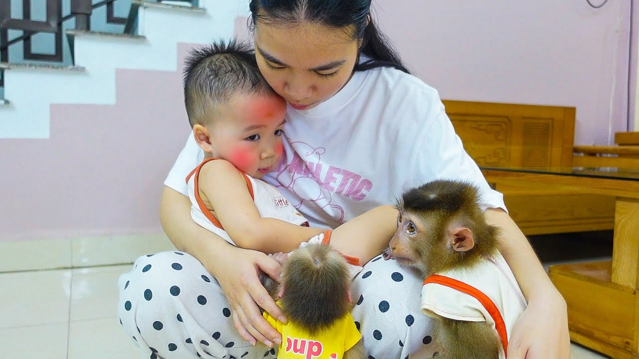 Nguyen Was Sick and Went to the Hospital, Monkey Pupu Was Sad and Felt Sorry for Him ...