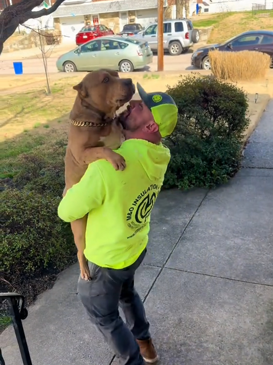 Awe, Such a Beautiful Pic of Chooch, Ava, and His Sister CiCiShe Loved ...